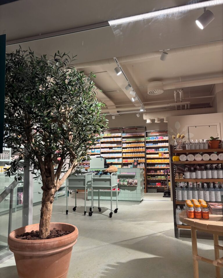 Fly chicken - frityrstekt kylling i Bergen sentrum - Galleriet